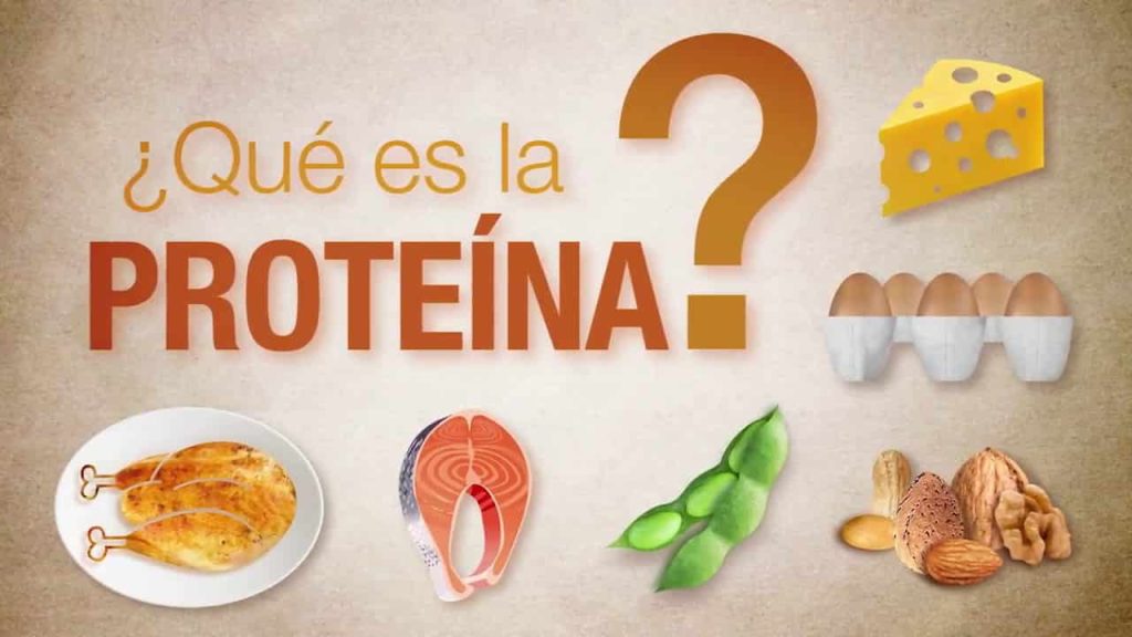 ¿Qué es una proteína? Ver más en la tienda #1 en suplementos